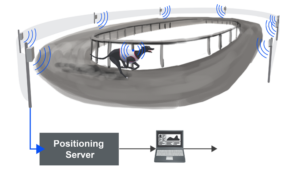 Greyhound Racing - TripleSdata